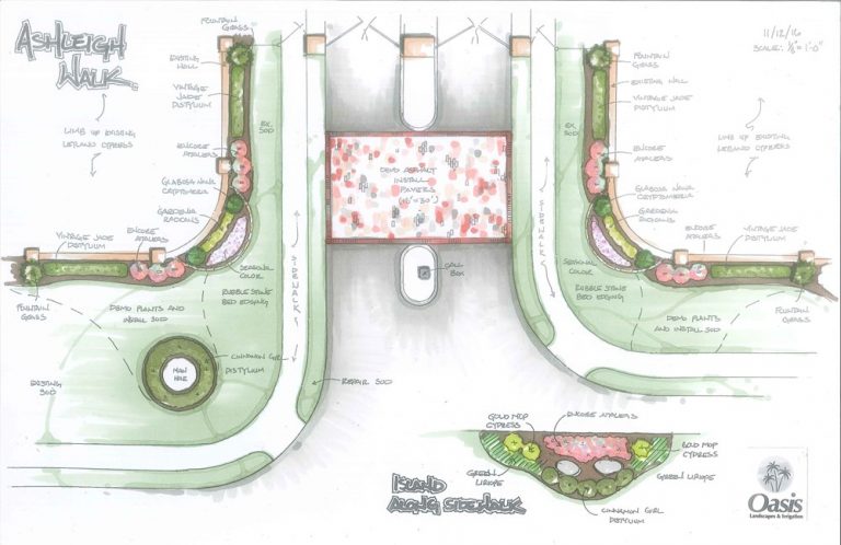 The Oasis Landscape Design Process - Oasis Landscapes