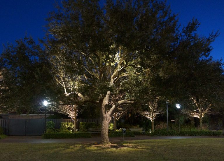 Hidden Landscape Lighting Ideas: The Art of the Invisible Fixture